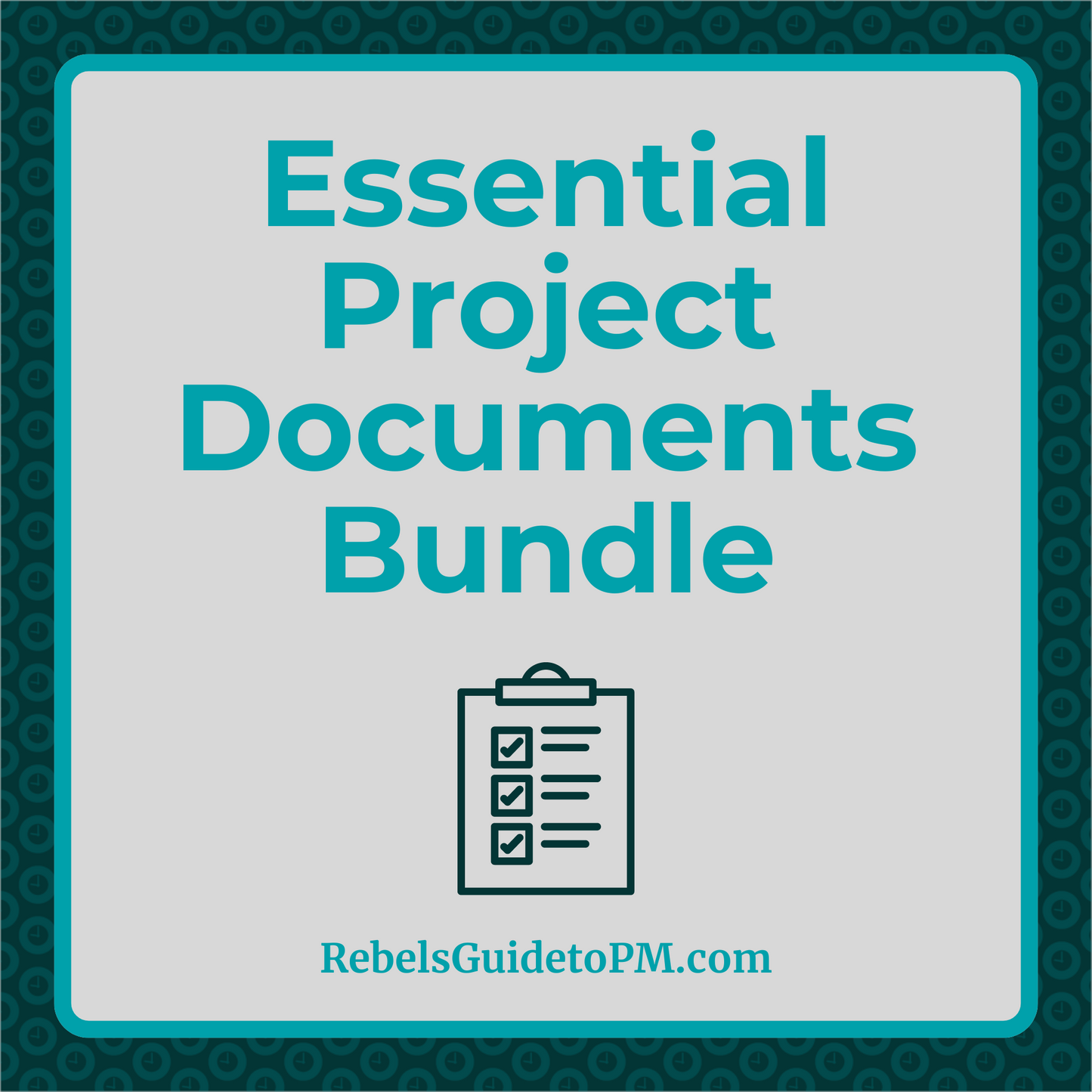 Essential Project Documents Bundle – Rebels Guide To Project Management